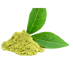 Green Tea Extract PF